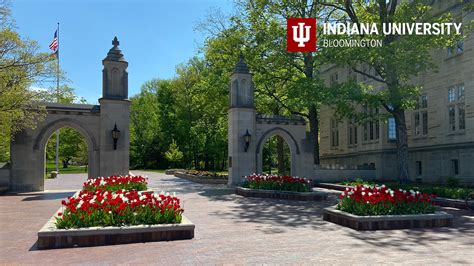 Indiana University Zoom - Volunteer Hub