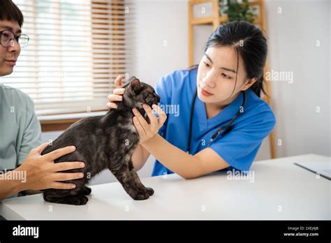 Cat Care Clinic Orange Services - Volunteer Hub