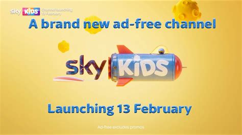 Sky Children Facts - Volunteer Hub